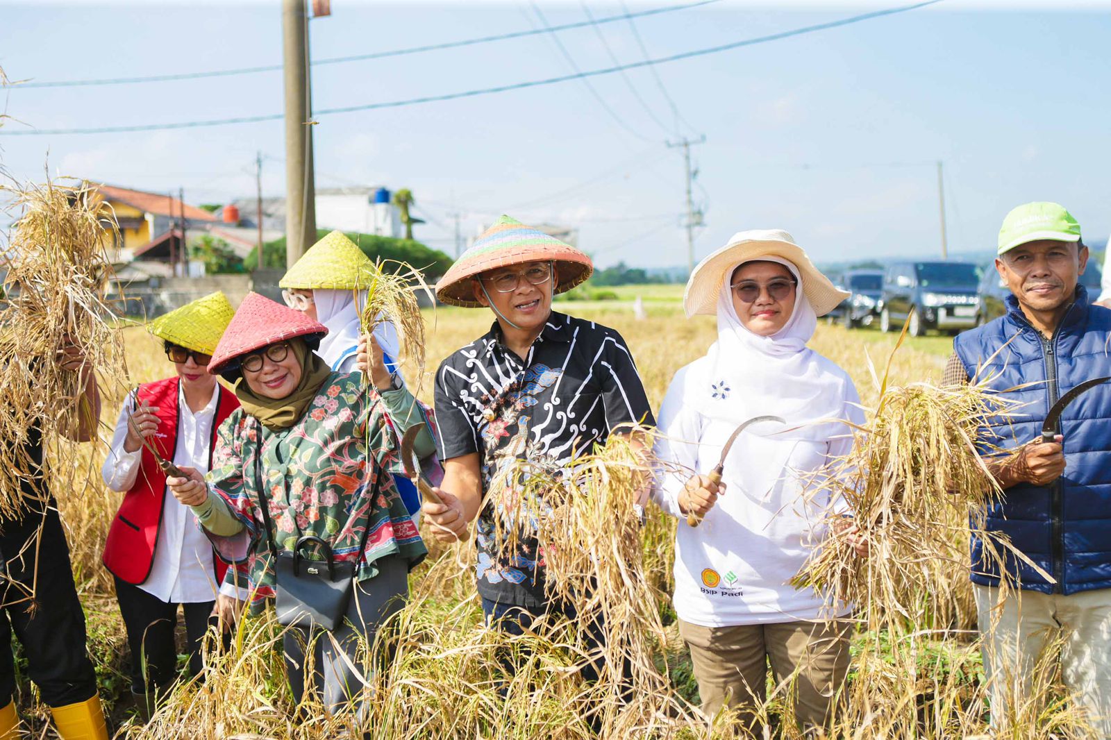 Pemkot Bogor Panen 1.2 Ton Padi Nutri Zinc, Mengentaskan dan Cegah ...